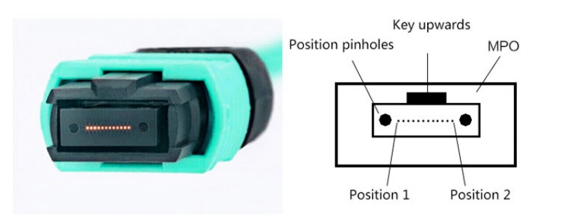Fiber Optic MPO Patch Cord | FIBEYE